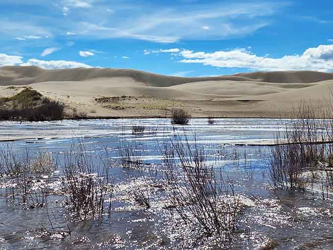 When winter meets desert, you get this surreal landscape where frozen streams contrast with towering sand dunes.
