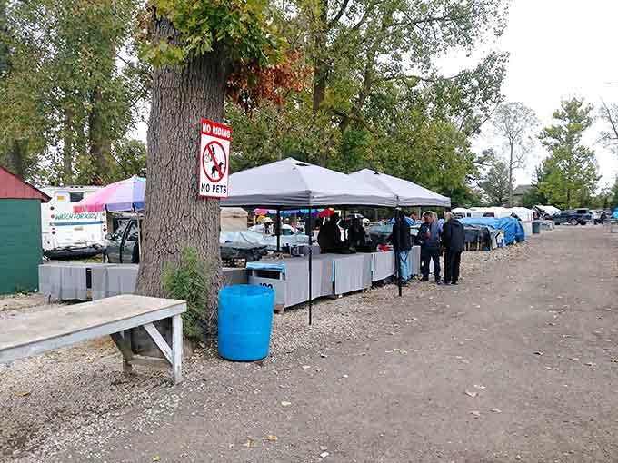 Tree-shaded market where white tents shelter treasures and the gravel paths lead to unexpected finds.