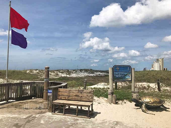 That bench overlooking pristine dunes whispers "sit a spell" while the Gulf breeze works its magic.