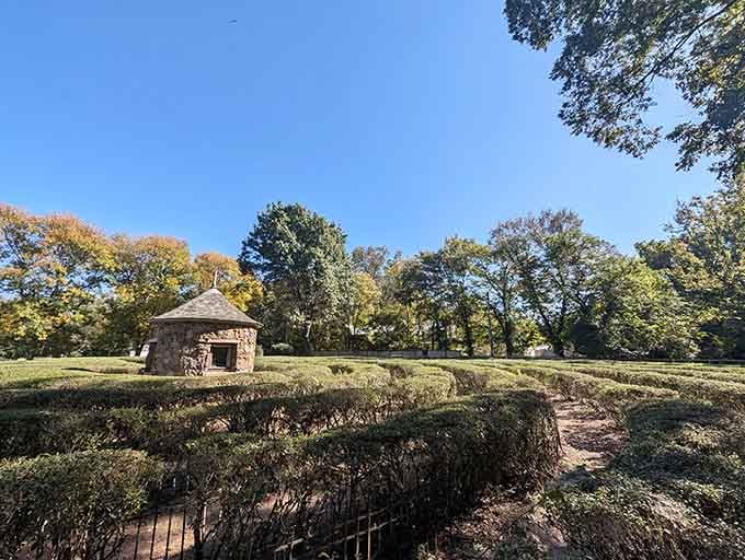 The winding hedges lead to that charming stone pavilion, offering autumn colors that rival any New England postcard.