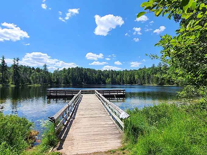 This wooden dock stretches toward mirror-calm waters where pine reflections create nature's perfect symmetry and peace.