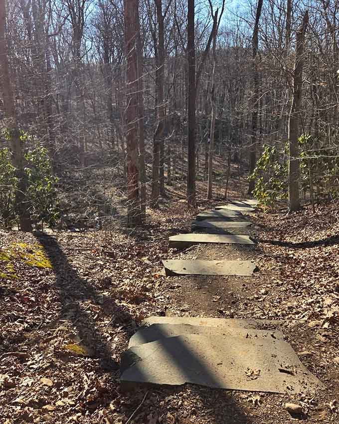 These stone steps through the winter woods feel like nature's own staircase to somewhere magical and peaceful.