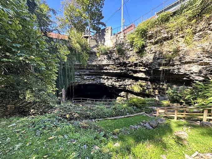 Nature carved this downtown cave entrance like Earth's own grand foyer, complete with limestone walls and mystery.
