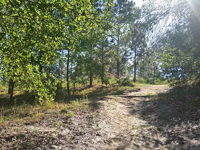 Winding trails invite you to explore at your own pace, no GPS required for this adventure.