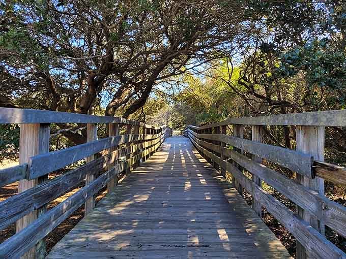 This weathered boardwalk stretches through twisted oaks like a scene from a Southern Gothic novel come to life.