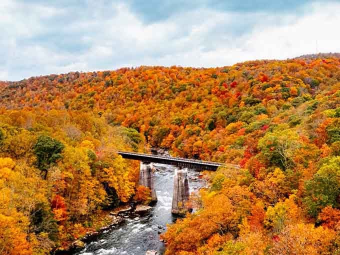 A bridge nestled in fall foliage so vibrant it looks like nature's showing off for the cameras.