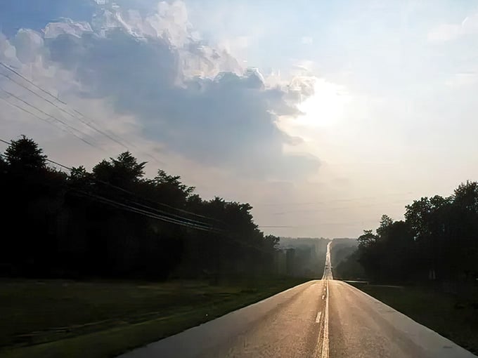 This straight shot through the trees catches morning sun like a spotlight on Alabama's natural stage.