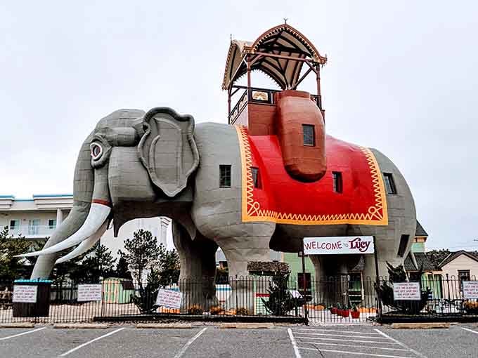 Lucy stands six stories tall and has weathered more storms than most of us have seen birthdays combined.