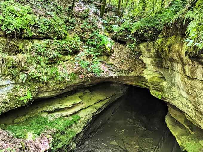 Layered limestone creates a natural doorway into darkness, like something Tolkien sketched during his coffee break.