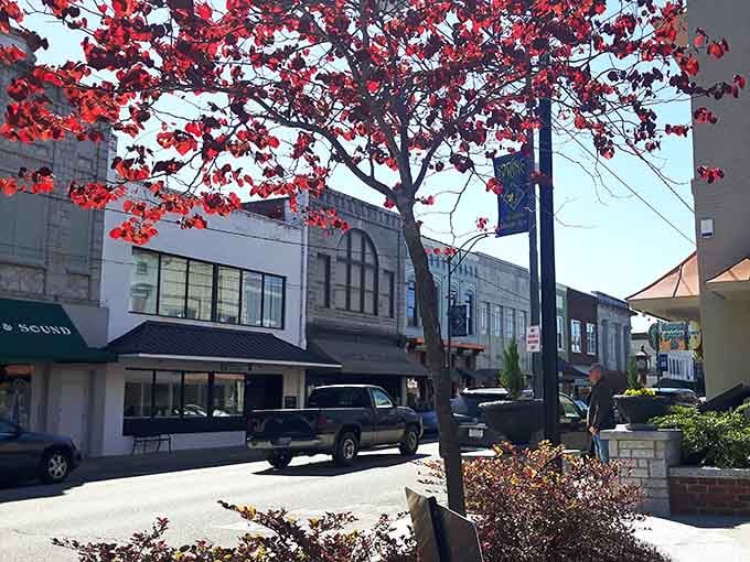 Those brilliant red blossoms against historic storefronts create a postcard moment you'll want to capture and keep forever.