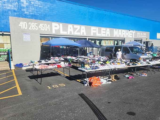 Blue canopies dot the parking lot like a village of possibility, each vendor offering their own unique finds.