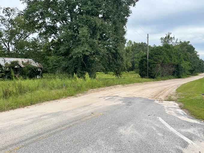 This quiet country road looks innocent enough until shadows grow long and every rustling leaf sounds suspicious.