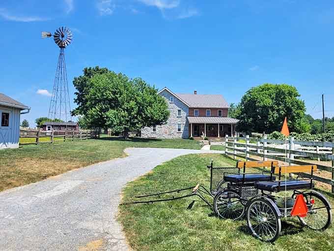 That windmill standing tall tells you this isn't just any farm. It's a genuine slice of Pennsylvania's agricultural heritage.