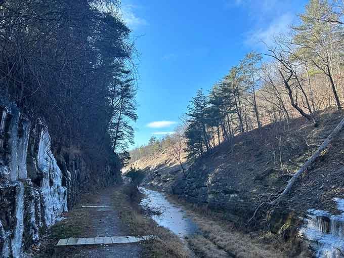 Winter transforms the canyon into a frozen cathedral where ice clings to cliffs like nature's chandeliers.