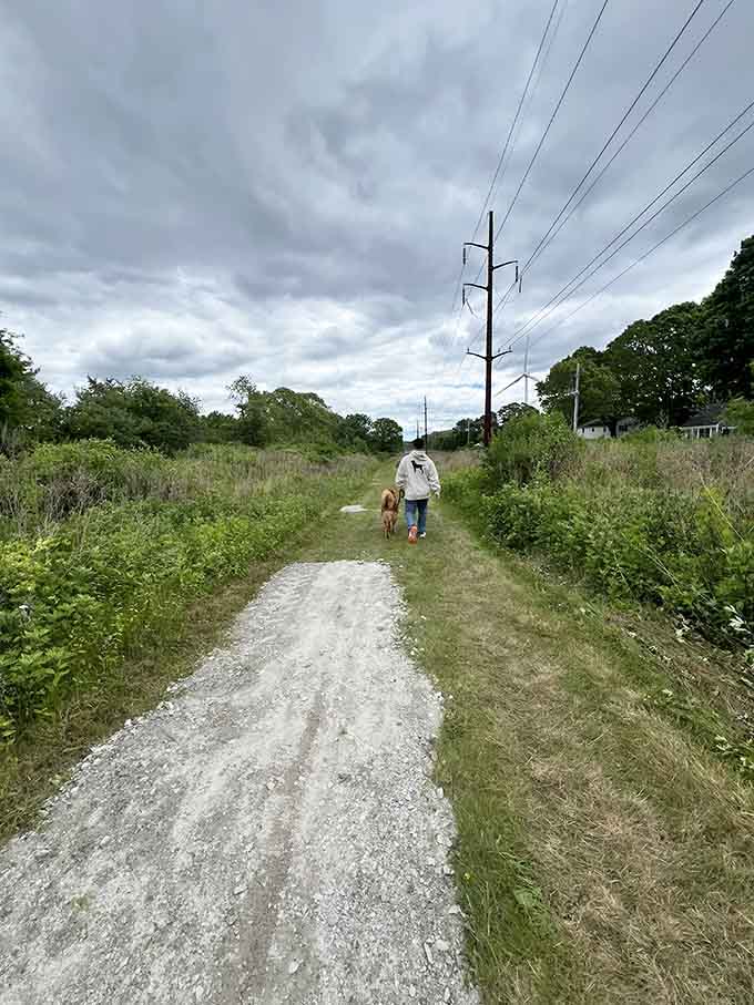 A walker and their golden companion prove that the best adventures are shared with your four-legged best friend.