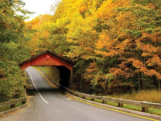 A charming covered bridge frames the autumn forest beyond, looking like something straight out of a Norman Rockwell painting.