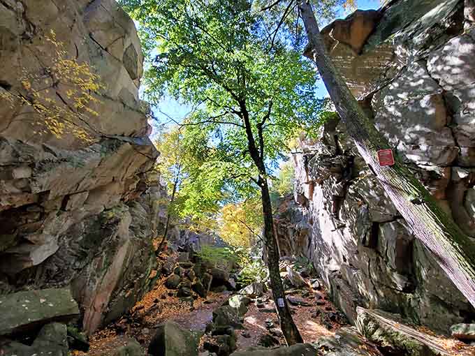 Looking up through towering granite walls, you'll feel wonderfully small in this geological masterpiece carved by ancient forces.