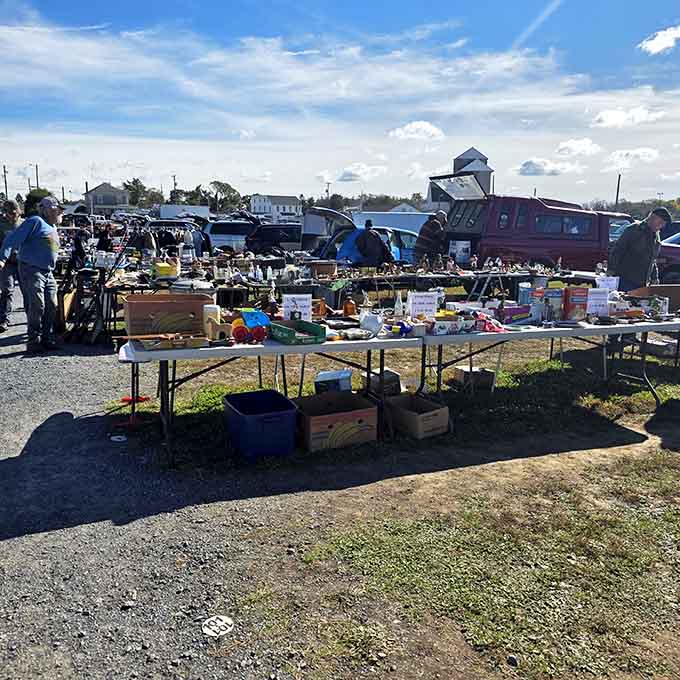 Rows of treasures stretch endlessly under blue skies, where one person's clutter becomes your weekend adventure.