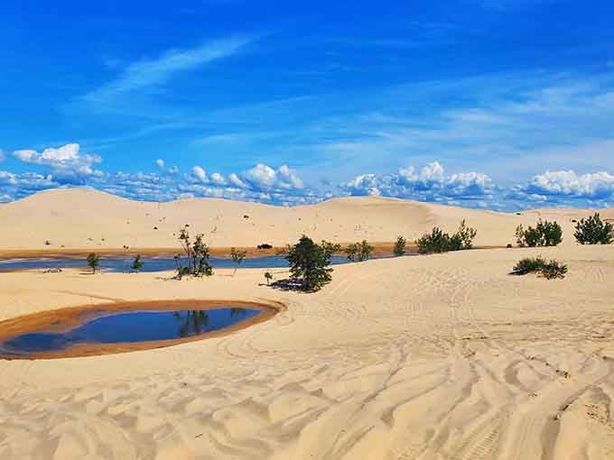 Sand dunes meet blue pools in a scene that screams "wrong state" until you remember Michigan loves surprising us.