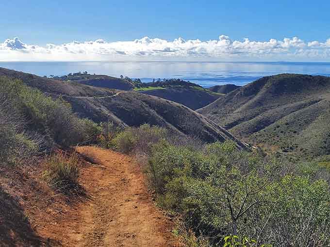 Rolling hills cascade toward the Pacific like a green velvet carpet unfurling to meet the endless blue.