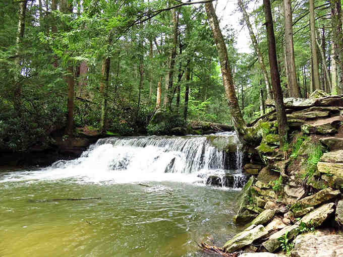 Water cascades over layered rock like nature's own wedding cake, each tier more beautiful than the last.