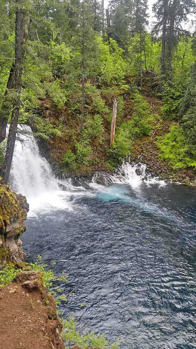 White water crashes into a pool so brilliantly turquoise, you'll swear someone added food coloring when you weren't looking.