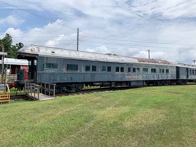 These vintage railroad cars have more character than most people, standing proudly under open skies like retired celebrities.
