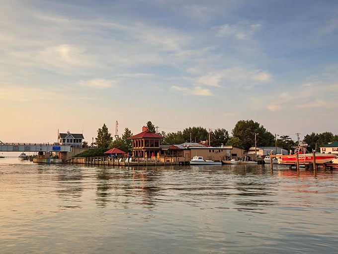 Working boats bob gently at sunset, their weathered hulls telling stories of honest labor on these timeless Chesapeake waters.