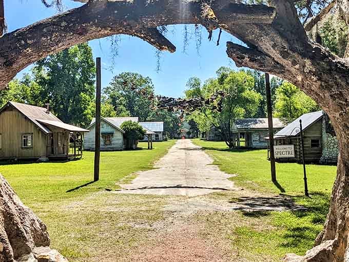 Framed by a majestic oak, this ghost town's main street whispers stories only the wind remembers now.