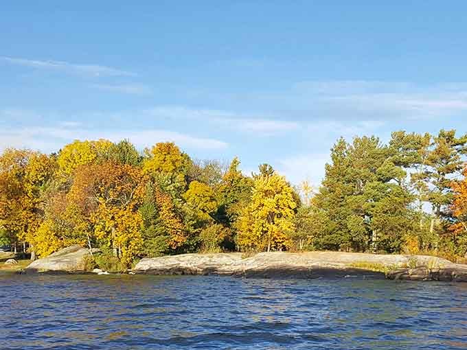 Autumn's golden palette transforms the shoreline into nature's own masterpiece worth framing.