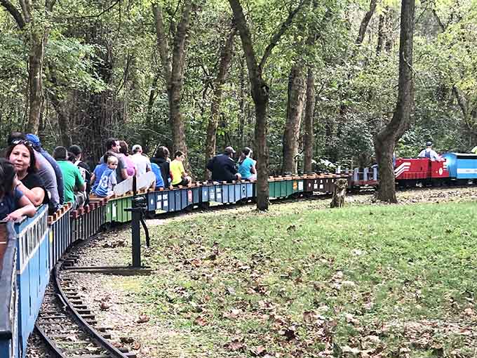 Families line the miniature railway track, their excitement palpable as the colorful train winds through the shaded forest.
