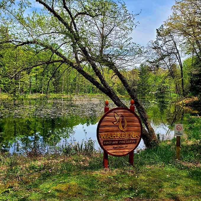 That wooden sign by the tranquil pond invites you into nature's quiet sanctuary, away from everyday noise.