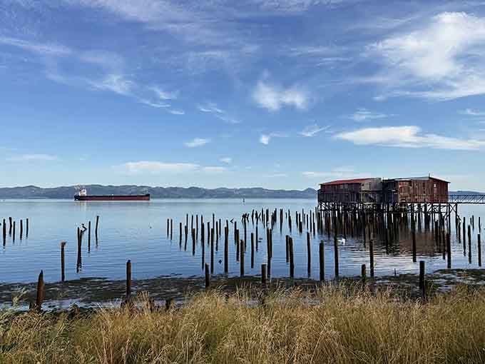 Old pilings rise from calm waters like silent sentinels, reminding us that history and beauty often share the same address.
