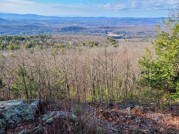 Sweeping valley views stretch for miles, rewarding your climb with a panorama that belongs on a postcard.
