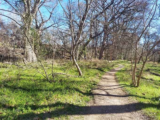 This peaceful trail winds through towering trees, inviting you to slow down and breathe in the fresh air.