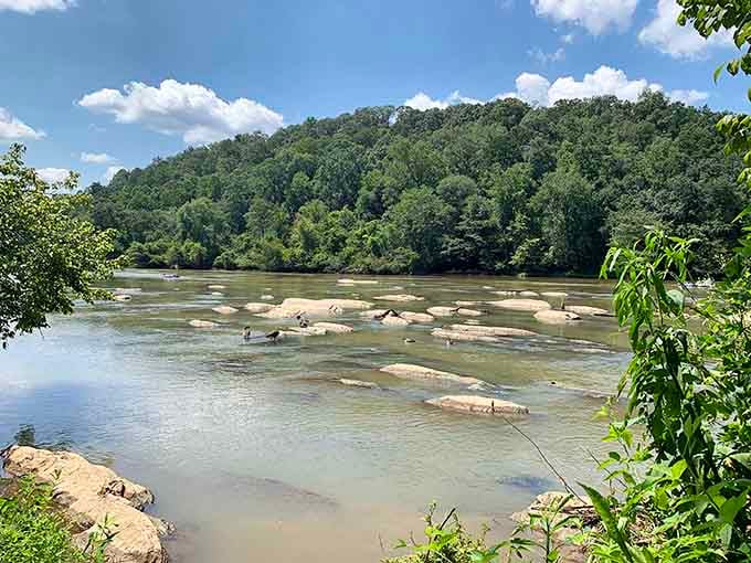 The Chattahoochee River flows past rocks and greenery, offering nature's own meditation session without the subscription fee.