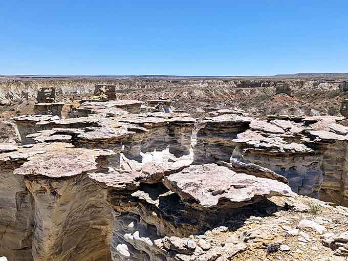 The layered rock formations stretch across the landscape like a geological layer cake that forgot to stay level.