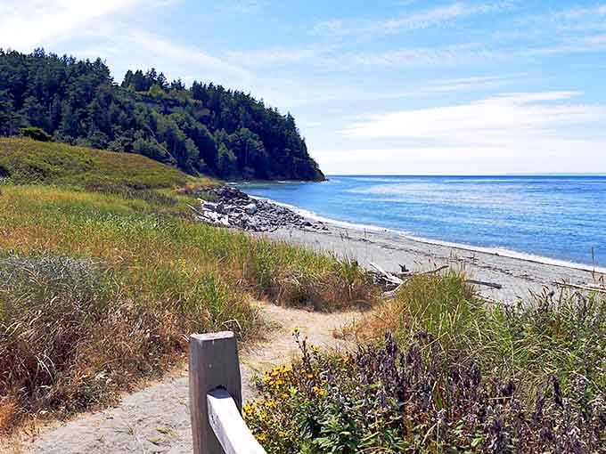 Wildflowers bloom along the bluff while blue waters stretch endlessly, proving Washington's beaches rival any tropical destination.