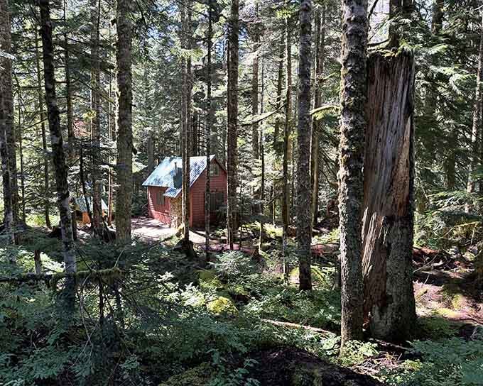 A charming red cabin peeks through the evergreens, looking like something from a Bob Ross painting come to life.