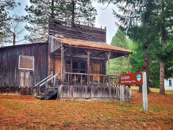 The old wooden buildings here whisper stories of gold rush dreams and pioneer determination through the pines.