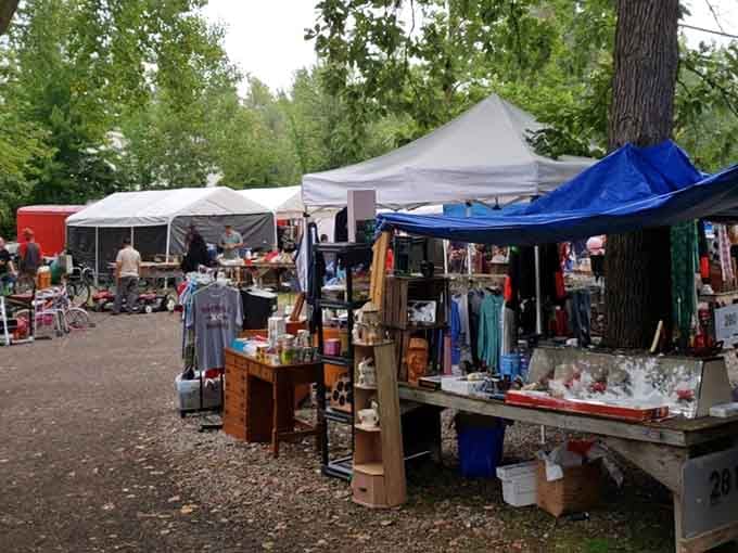 Outdoor treasures nestled under towering trees create the perfect backdrop for your next vintage discovery adventure.