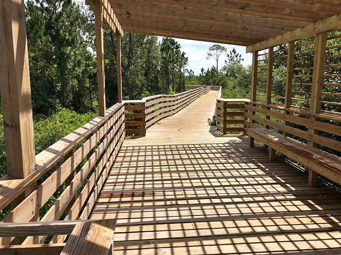 Wooden boardwalks stretch through coastal forests where nature puts on a masterclass in peaceful beauty.