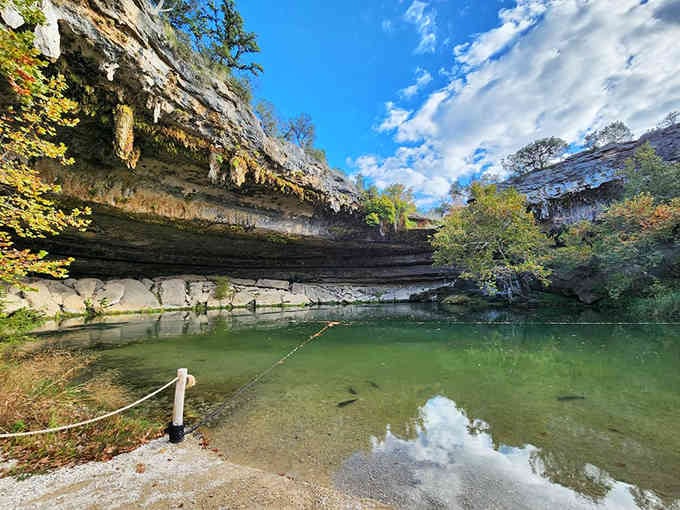 The collapsed grotto reveals layers of ancient limestone overhead, creating a natural cathedral that took thousands of years to form.