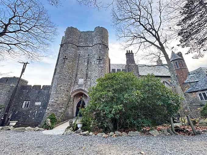 Bare winter branches frame the castle's imposing entrance, where ancient stonework meets modern-day curiosity and wonder.
