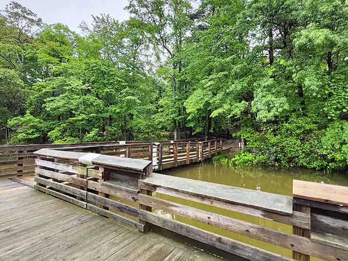 This tranquil creek crossing offers front-row seats to nature's most soothing symphony of flowing water.