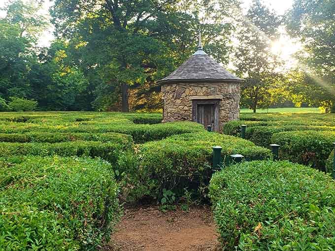 Golden hour light filters through the trees, turning this labyrinth into something almost magical and utterly serene.