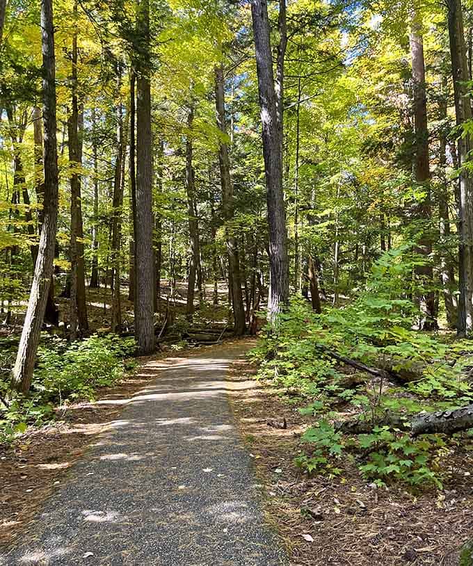 Sunlight filters through towering pines along trails that whisper stories older than your grandparents' grandparents.