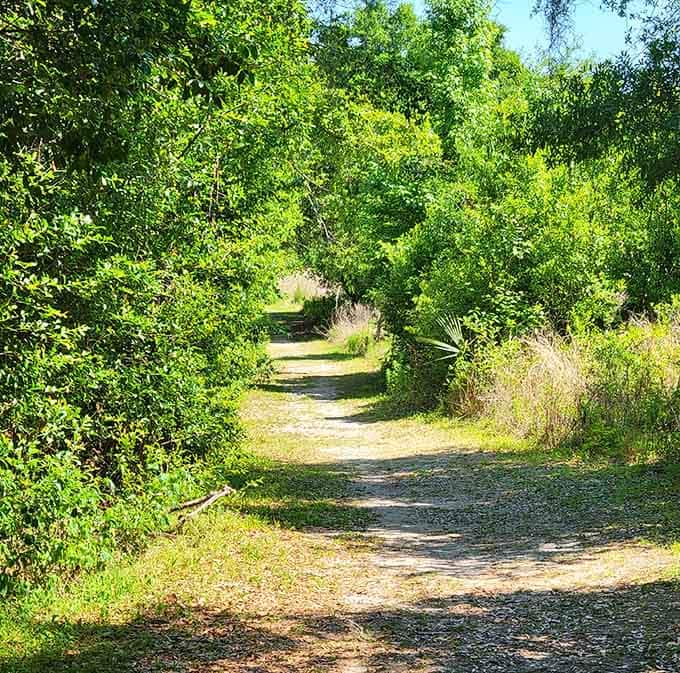 The path ahead promises discoveries around every bend, perfect for curious souls seeking natural beauty.
