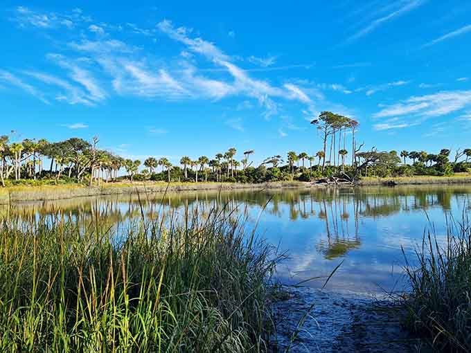 The mirror-smooth water reflects these ghost trees perfectly, creating a dreamscape that photographers travel hundreds of miles to capture.