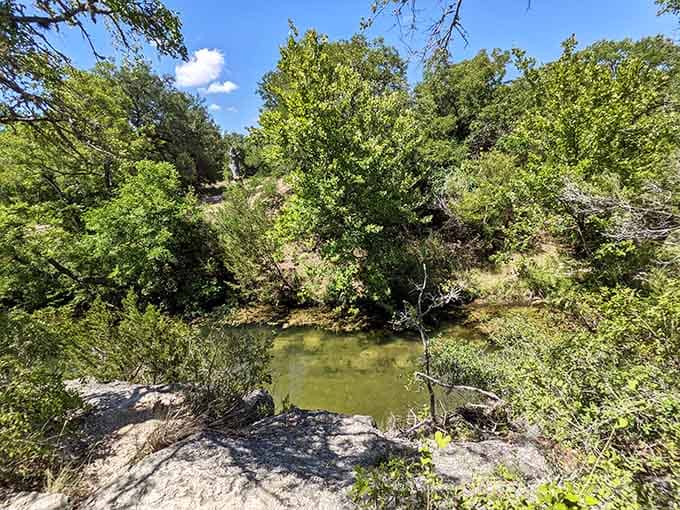 Dense foliage surrounds this hidden spring where the water stays cool enough to make summer heat a distant memory.